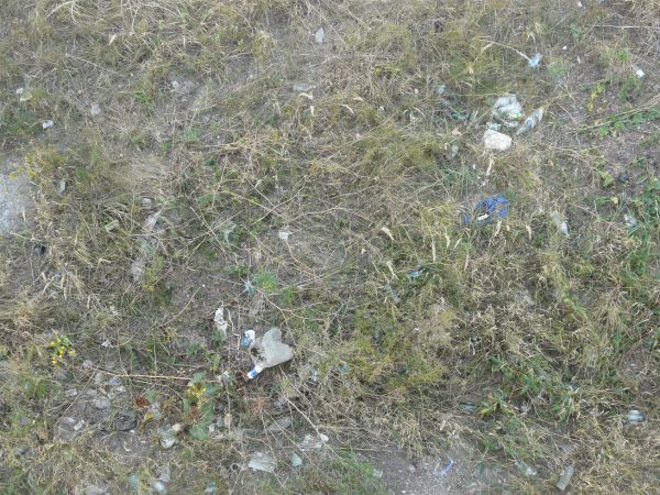 thin dried grass texture 0021 - Texturelib
